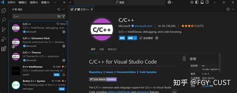 安装 Vs Code 与 通义灵码 知乎