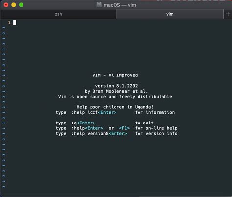 First Try At Recreating My Linux Vim On Windows Nvimqt Vimporn