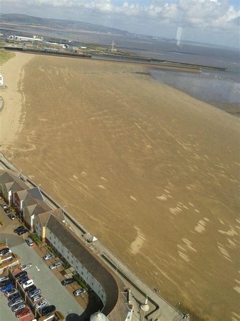 B Race Swansea Bay The Blsa