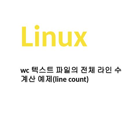 Linuxubuntu 리눅스 Wc 텍스트 파일의 전체 라인 수 계산 예제line Count 살구월드