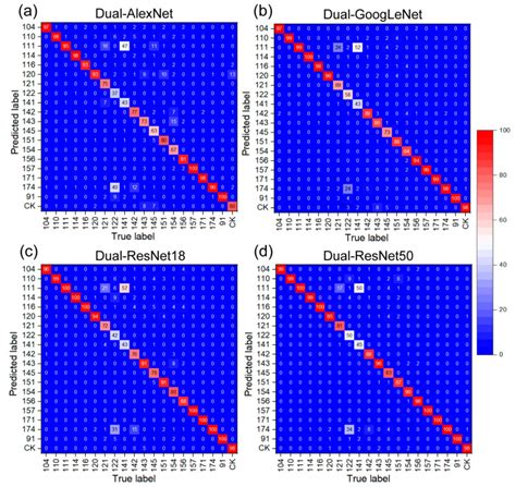 Identification Of Soybean Mutant Lines Based On Dual Branch Cnn Model