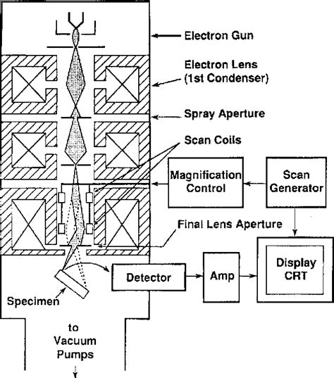 Scanning Electron Microscope Principle