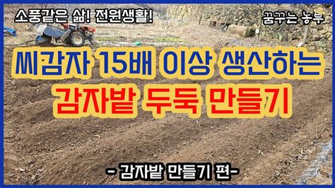 꿈꾸는 농부 씨감자의 15배 이상 생산하는 감자밭 만들기감자밭 만들기감자밭 두둑 만들기씨감자감자씨텃밭농부도시농부