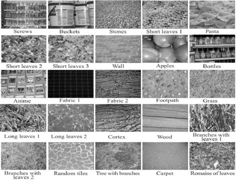 Samples Of Umd Data Set 39 Download Scientific Diagram