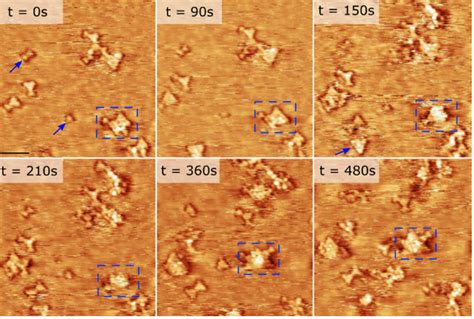 Green Methanol Production Visualizing Methanol Synthesis Catalyst Surface Dynamics