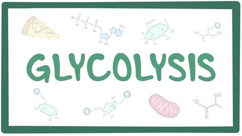 Glycolysis Teaching Science Glycolysis Pathways Biochemistry