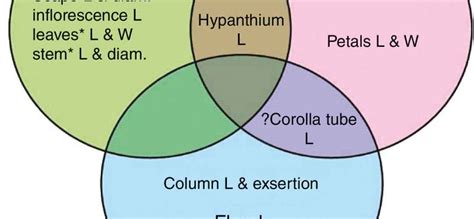 Detecting Canalization And Intra Floral Modularity In Triggerplant Stylidium Flowers