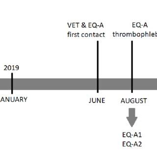Timeline Of The Sampling Procedures Download Scientific Diagram