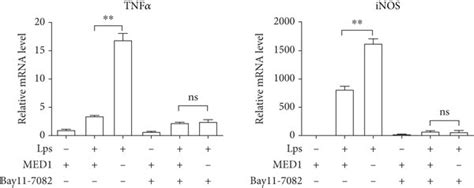 Med1 Deficiency Enhances Nf κb And Stat1 Activation In Macrophages A Download Scientific