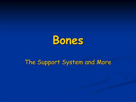 PPT Bones PowerPoint Presentation Free Download ID