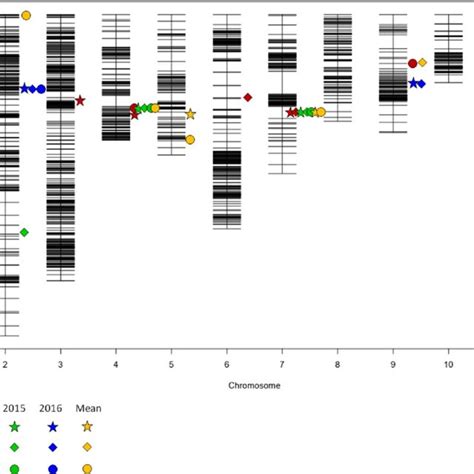Location Of The Rfs Resistance Qtls On Snp Based High Density Linkage