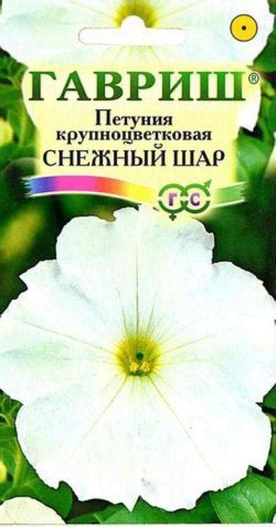 Золотая сотка алтая