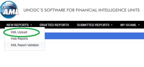 xml schema report financial intelligence unit