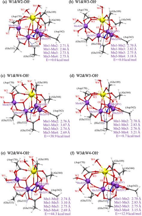 Optimized Structures Of ‘first Coordination Sphere In The S3 State A