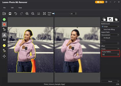 How To Blur Background In Picture Leawo Tutorial Center