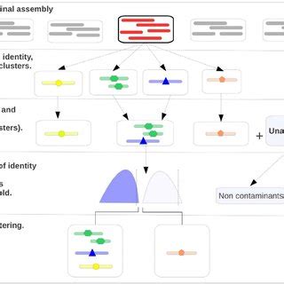 Schematic Representation Of Strategy For Re Clustering Of Transcript Download Scientific