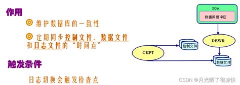 oracle体系结构 csdn博客