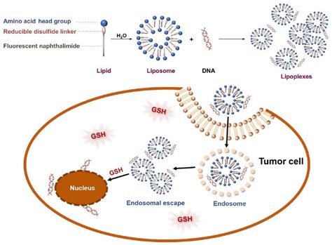 Chemicals And Materials Revolution The Unstoppable Growth Of The Multivalent Cationic Lipids Market