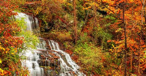 Best Places To View Fall Foliage In South Carolina