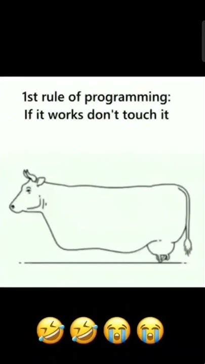 1st rule of programming😂🤣 how to learn programming shorts trending