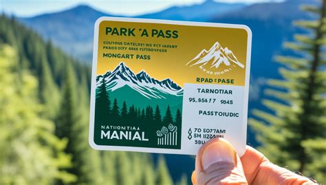 Unlock A Lifetime Of Adventure Your Guide To The Senior National Park