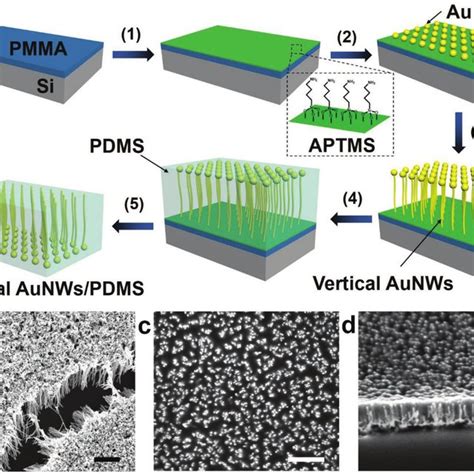 10 Nm Silicon Nanowire Arrays By Size Reduction Lithography Download