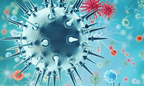 Workplace Biological Hazards Types Categories Of 57 Off