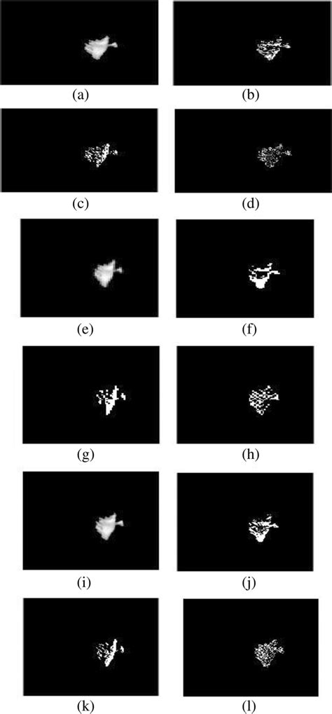Wavelet Decomposed Intermediate Results Download Scientific Diagram