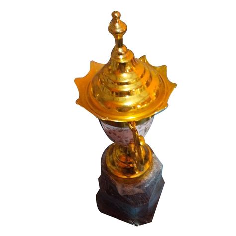 Plastic Plain Trophy Cup At Rs 350piece Trophy Cup In Moradabad Id