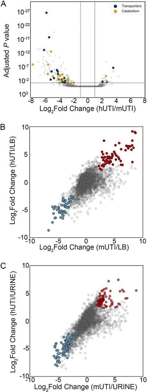 Differential Expression Analysis Reveals Infection Specific Gene