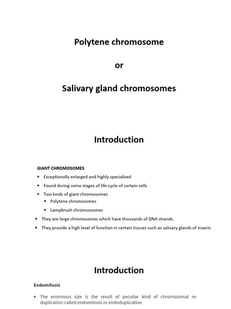 Polytene Chromosomes Pdf Molecular Genetics Molecular Biology