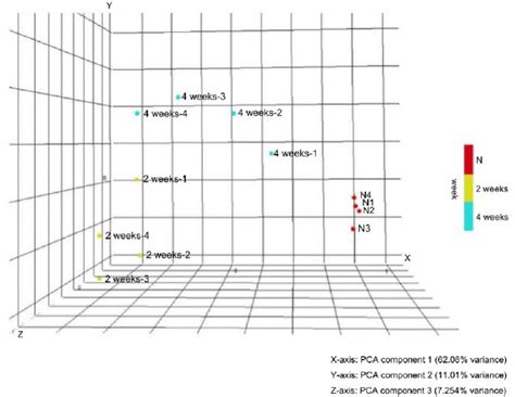 Principal Component Analysis Plot Of 12 Microarray Samples All The 12