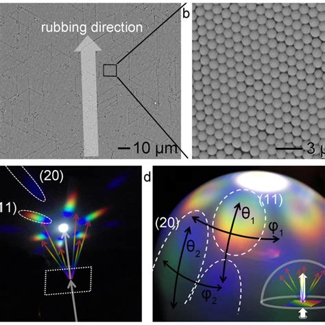 Single Grain Of 2d Particle Assembly By The Rubbing Process And Its