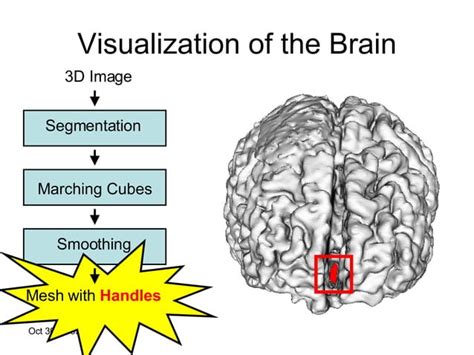 Open Topology A Toolkit For Brain Isosurface Correction 776 Ppt