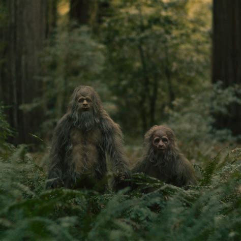 Bigfoot Pictures Real Life