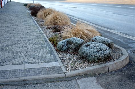 다년생 소나무와 회색 화강암 바위 뿌리 껍질과 자갈겨울 주차장 쇼핑 센터 근처 도시 설정에서 장식 화단 눈 허브 정원 로커 바위 가까운에 대한 스톡 사진 및 기타 이미지