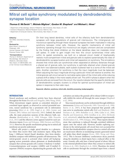Pdf Mitral Cell Spike Synchrony Modulated By Dendrodendritic Synapse Location