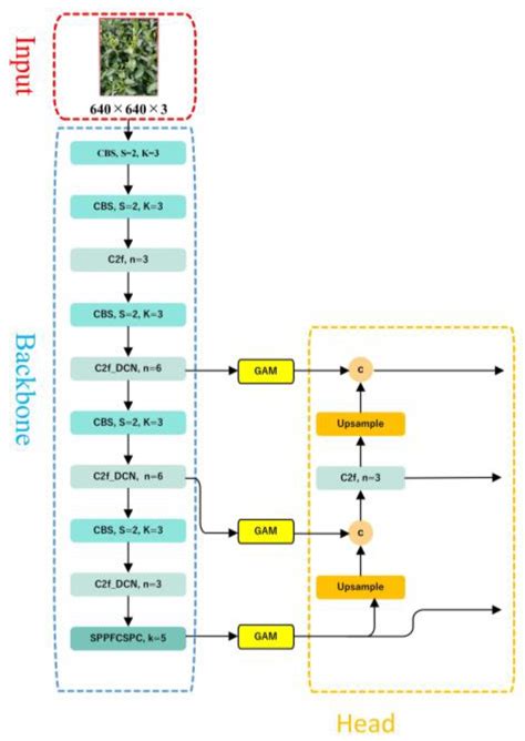Tea Yolov8s A Tea Bud Detection Model Based On Deep Learning And Computer Vision