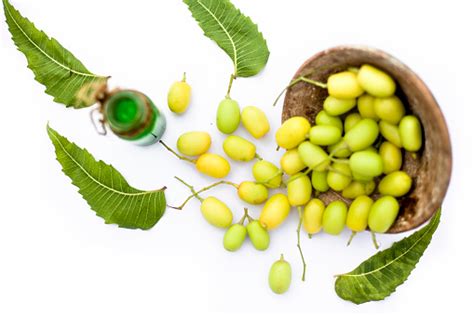 투명한 유리 병에 농축 된 에센셜 오일이나 에센스와 함께 흰색으로 분리 된 점토 그릇에 인도 라일락 과일의 신선한 녹색 님 과일 수평 상단 샷 0명에 대한 스톡 사진 및