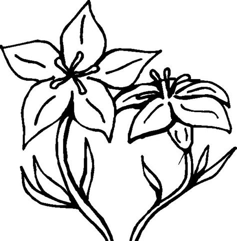 Black And White Floral Tattoo Design Coloriage Nature Vegetal