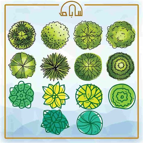 تصاویر مبلمان پلان پست پروداکشن تصویر Png مبلمان از نمای بالا فروشگاه