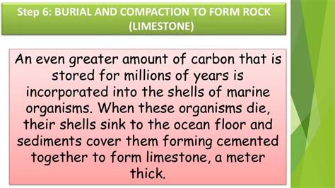Biogeochemical Cycle Ppt