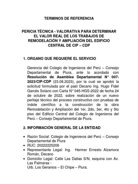 Tdr Contratacion Perito Pericia Edificio Central Cip Cdp 2023 Pdf