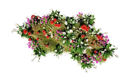 Plant Top View Pngs For Free Download