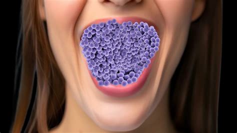 Asmr The Best Treatment Animation True Asmr Video 2d Animation True