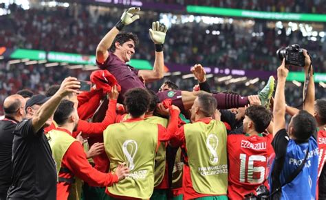 Bufal Najsrećniji Dan U Mom životu