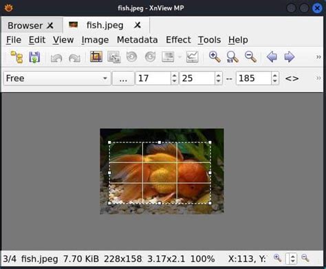 Fast Image Cropping Tools In Linux Baeldung On Linux