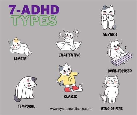 The 7 Types Of Adhd Synapse Integrative Wellness Llc