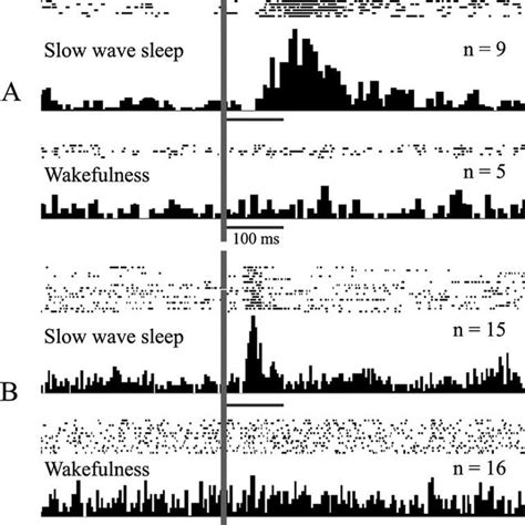 Fragment Of Slow Wave Sleep In A Cat A Spectrogram Of The Cortical Download Scientific