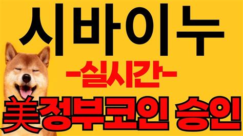 시바이누 실시간 美정부코인 승인으로 난리났습니다 Youtube